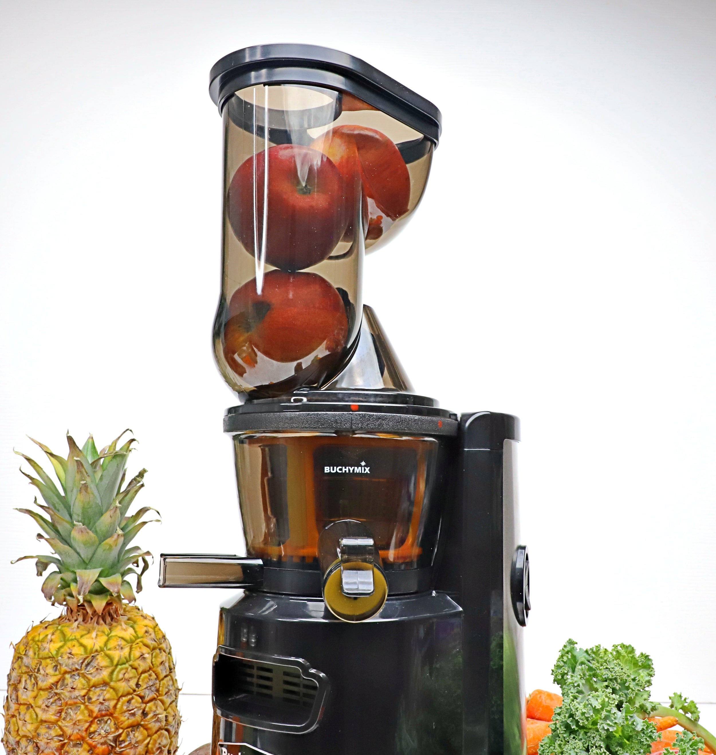 Premium Masticating Cold Pressed Juicer With High Torque Motor – Buchymix